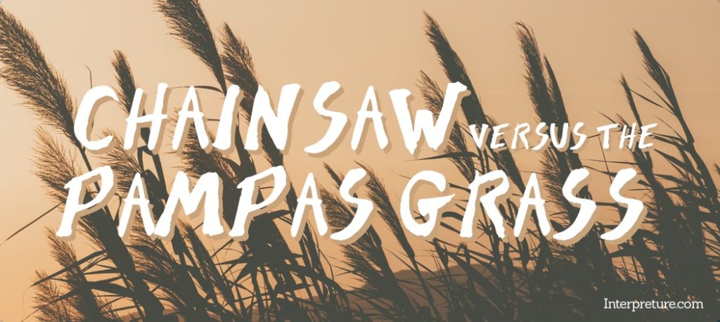 Chainsaw Versus the Pampas Grass - Poem Analysis - Interpreture