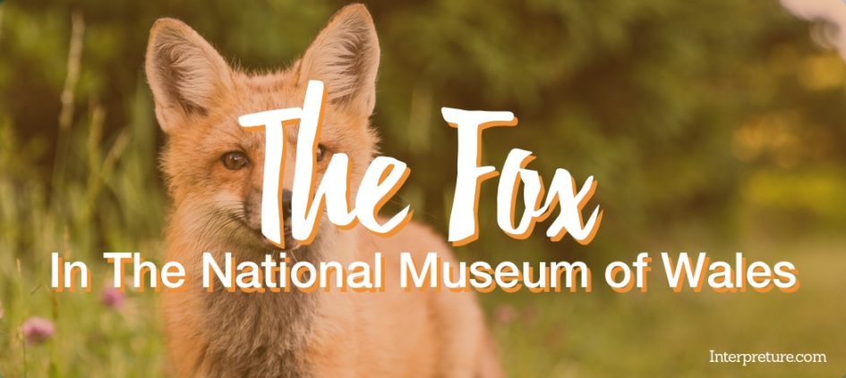 The Fox In The National Museum of Wales - Poem Analysis - Interpreture