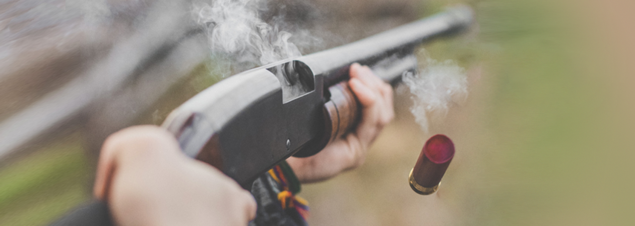 The Gun - Poem Analysis and Notes - Interpreture English Revision