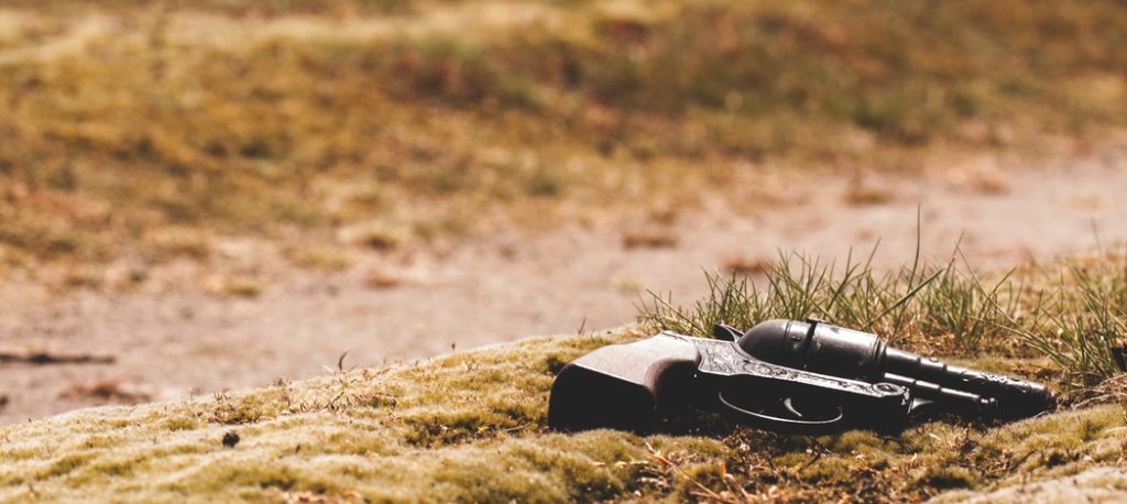 The Gun - Poem Analysis and Notes - Interpreture English Revision