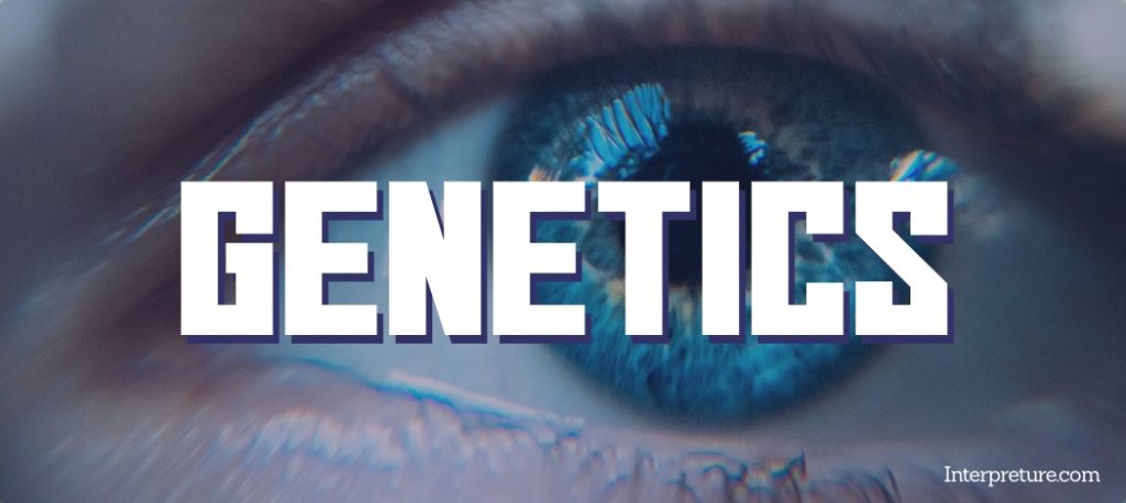 The Map-Woman - Poem Analysis - Interpreture English Revision