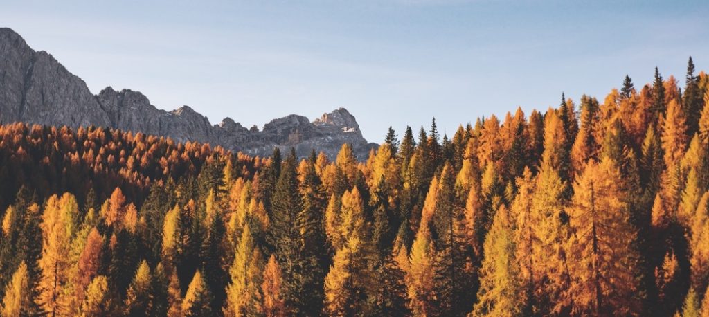 To Autumn - Poem Analysis and Notes - John Keats - Interpreture