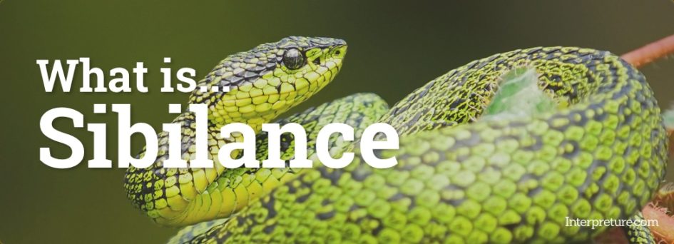 Sibilance - What is Sibilance? - Poetry and English Literature Glossary