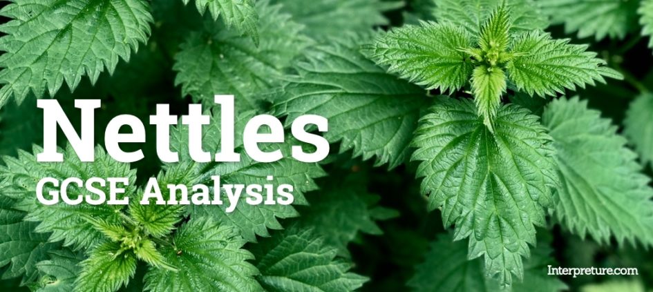 Nettles - Poem Analysis and Notes - Interpreture - English Revision
